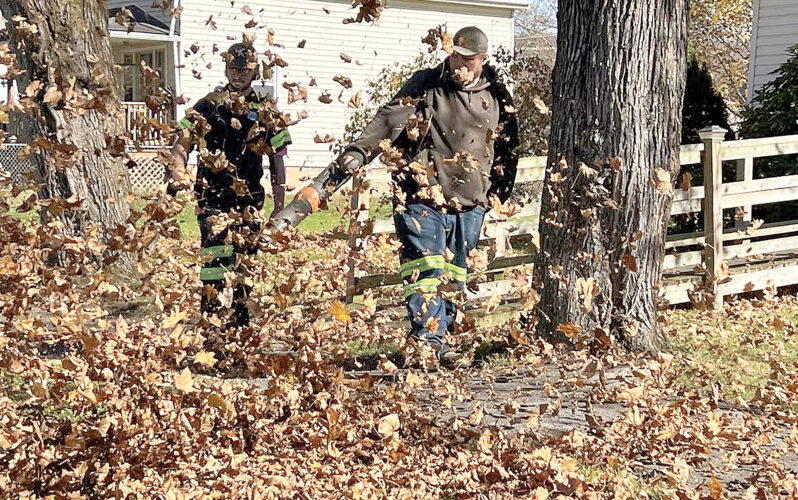 Leaf Cleanup | News, Sports, Jobs - The Intermountain
